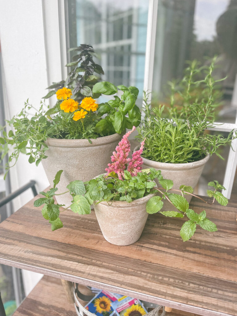 Easy Large Batch Rum Punch Inspired by the Turks and Caicos